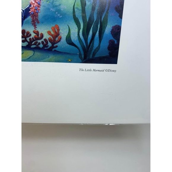 mcGaw graphics | Art | Disney Prints By Bruce Mcgaw Graphics Ariel ...